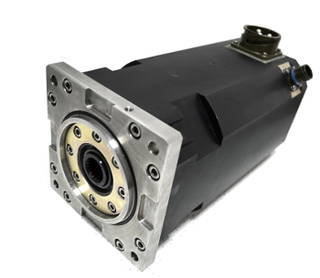 Special Electric Motors | Icpe